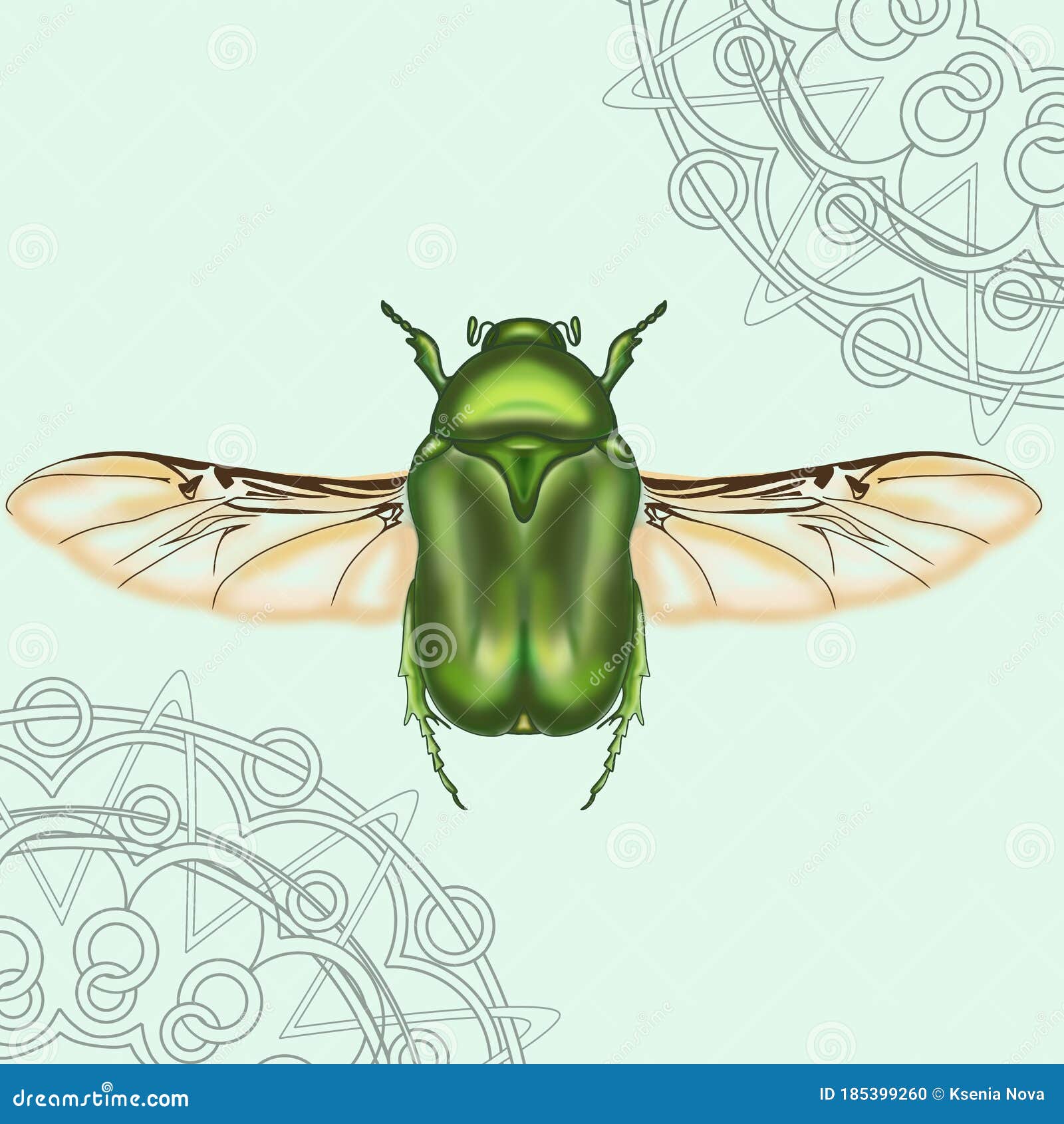 Green Beetle with Geometric Patterns. Stock Illustration - Illustration ...