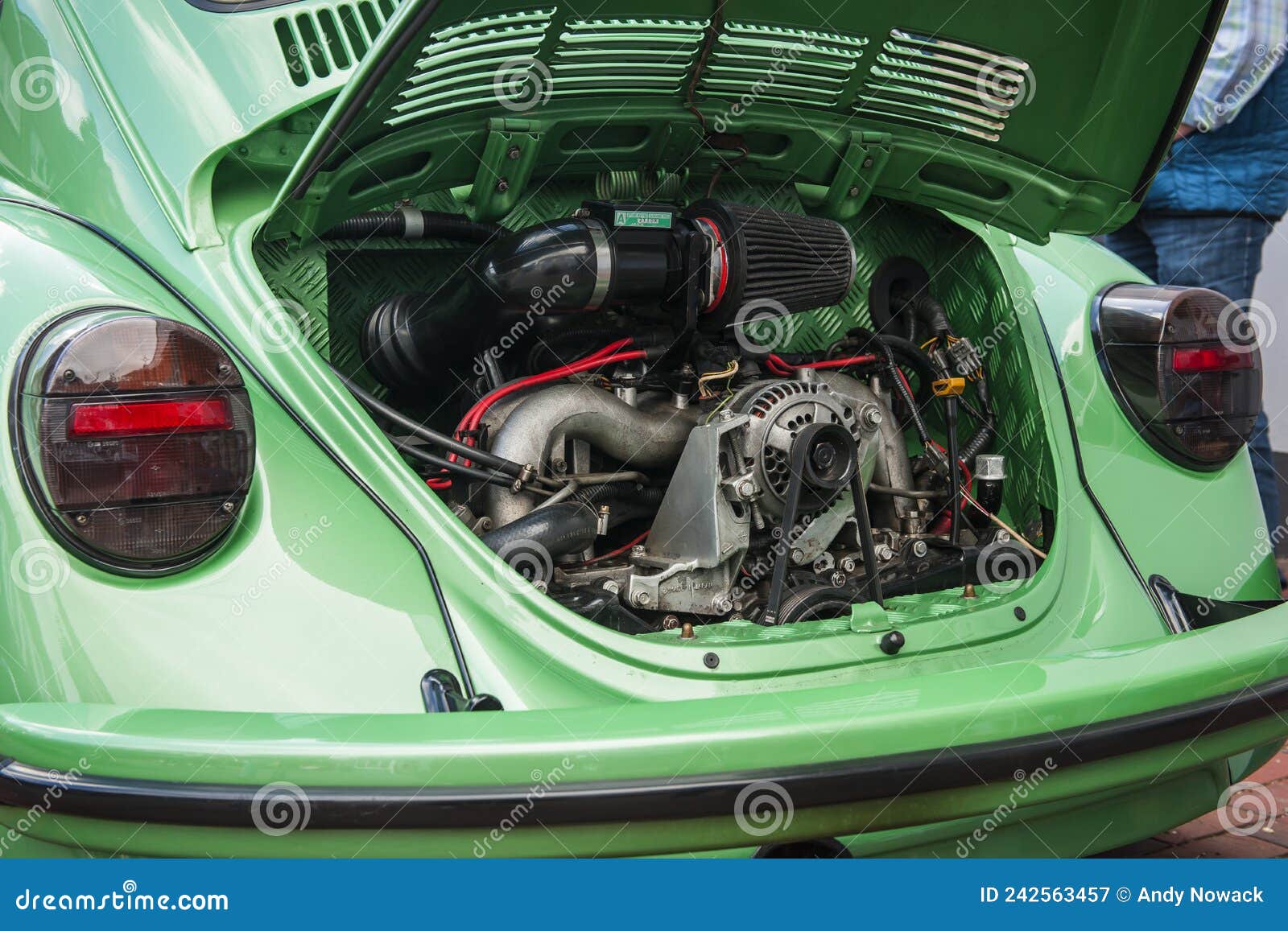 Green Beetle Rear View Green Colored Editorial Photography - Image of ...