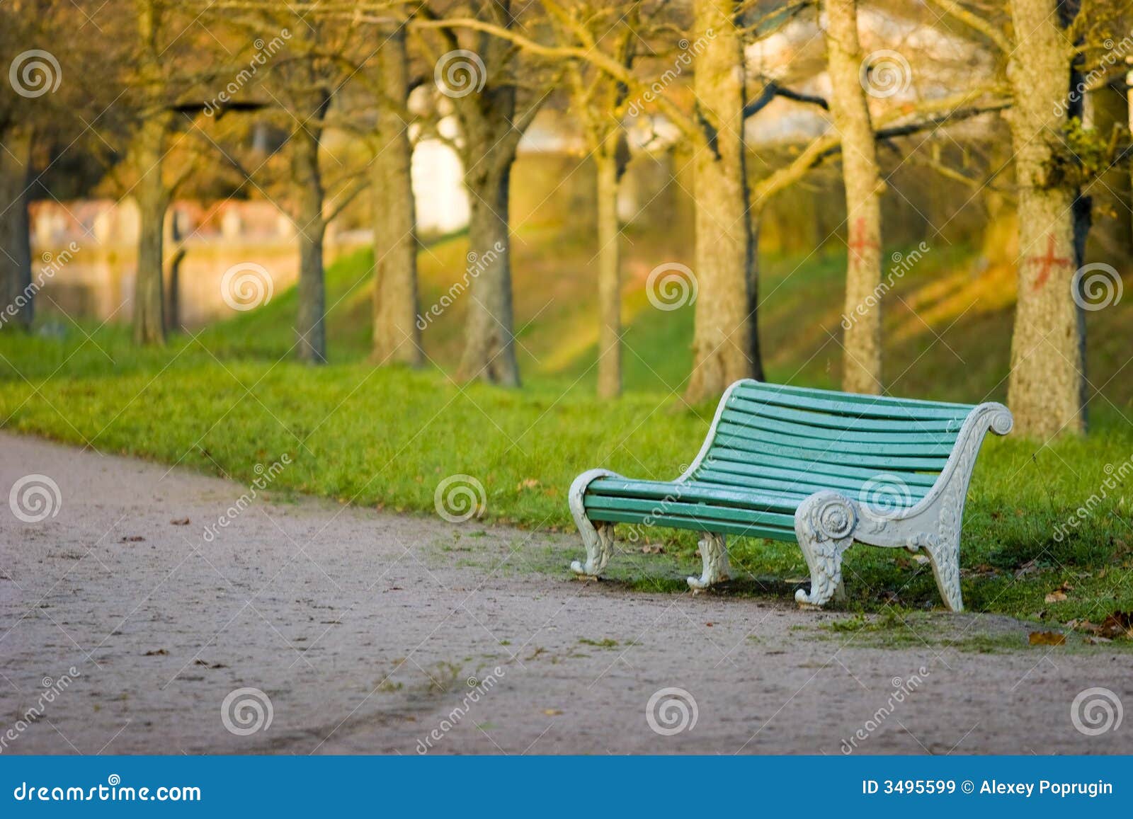 Green bench stock image. Image of lawn, loneliness, carefree - 3495599
