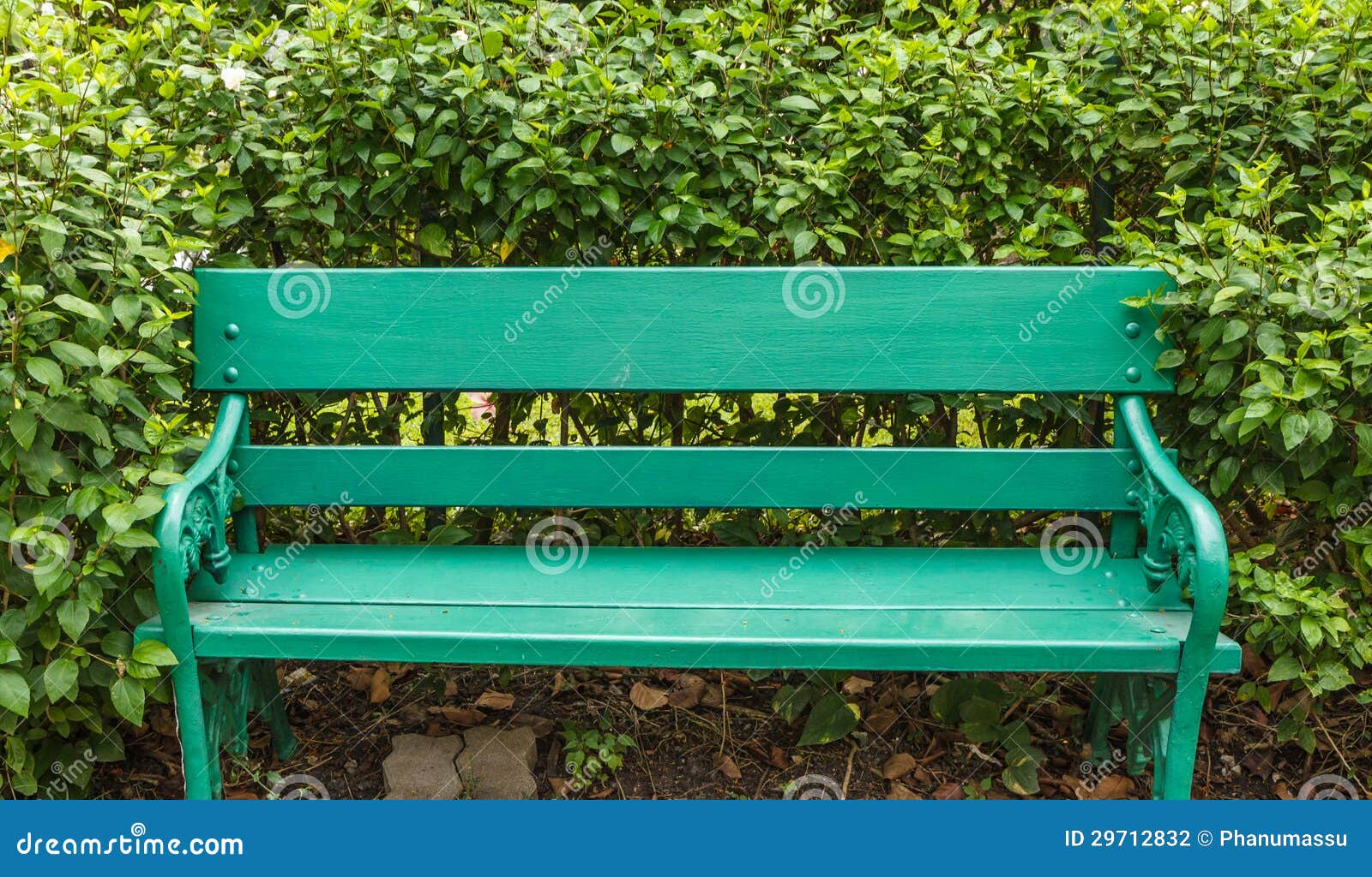 Green bench stock photo. Image of brown, plant, relaxation - 29712832