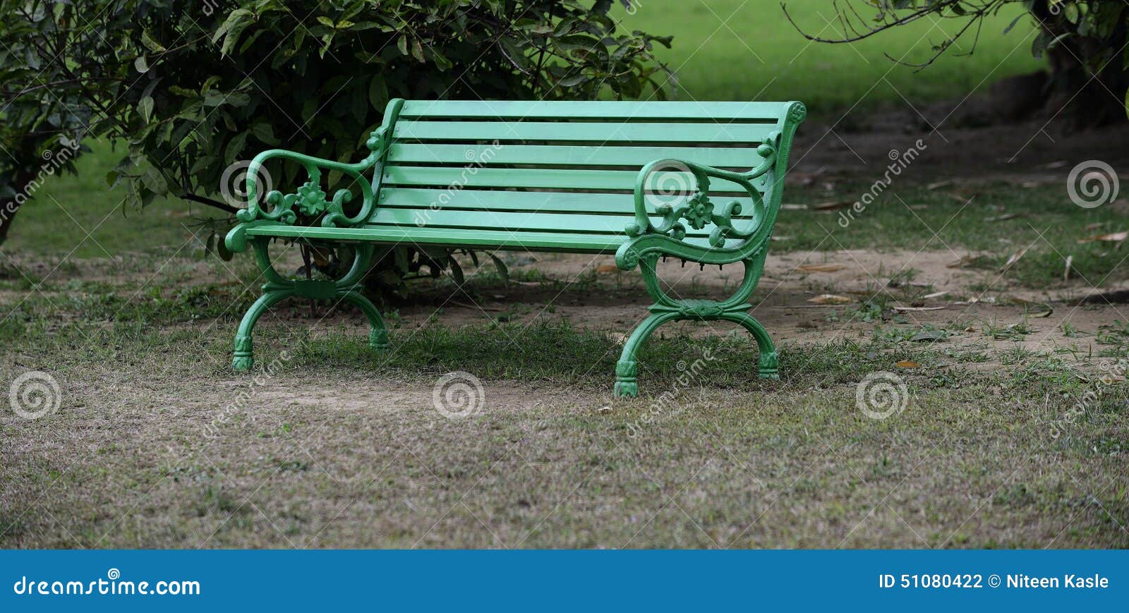 Green Bench in Park stock photo. Image of natural, morning - 51080422