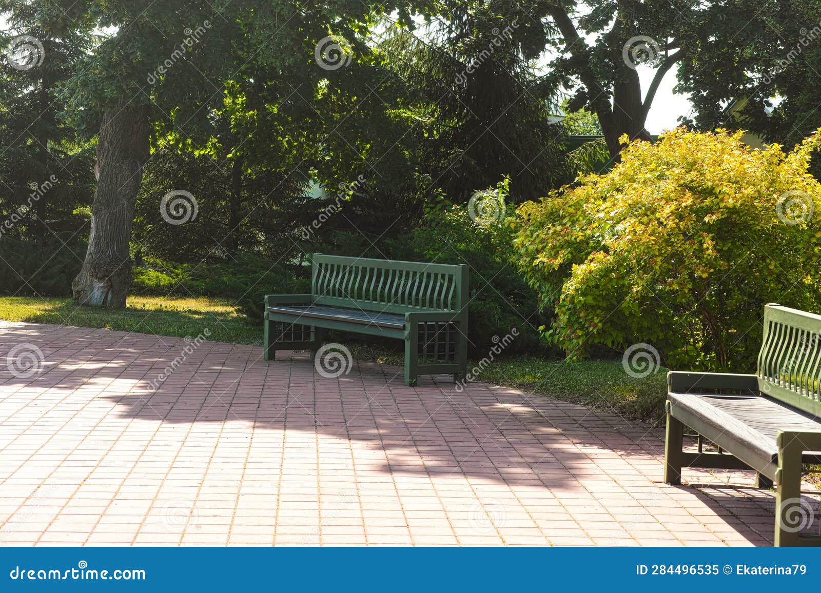 Green Benches Stock Image | CartoonDealer.com #1523815