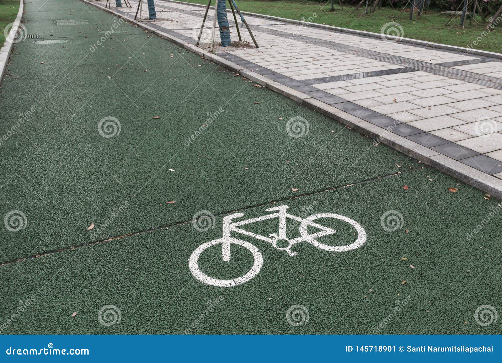 Green Bicycle Lane for Biking Stock Image - Image of clean, environment ...