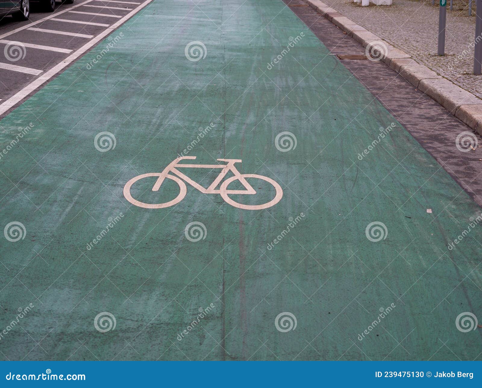 Green bike path stock photo. Image of healthy, sport - 239475130