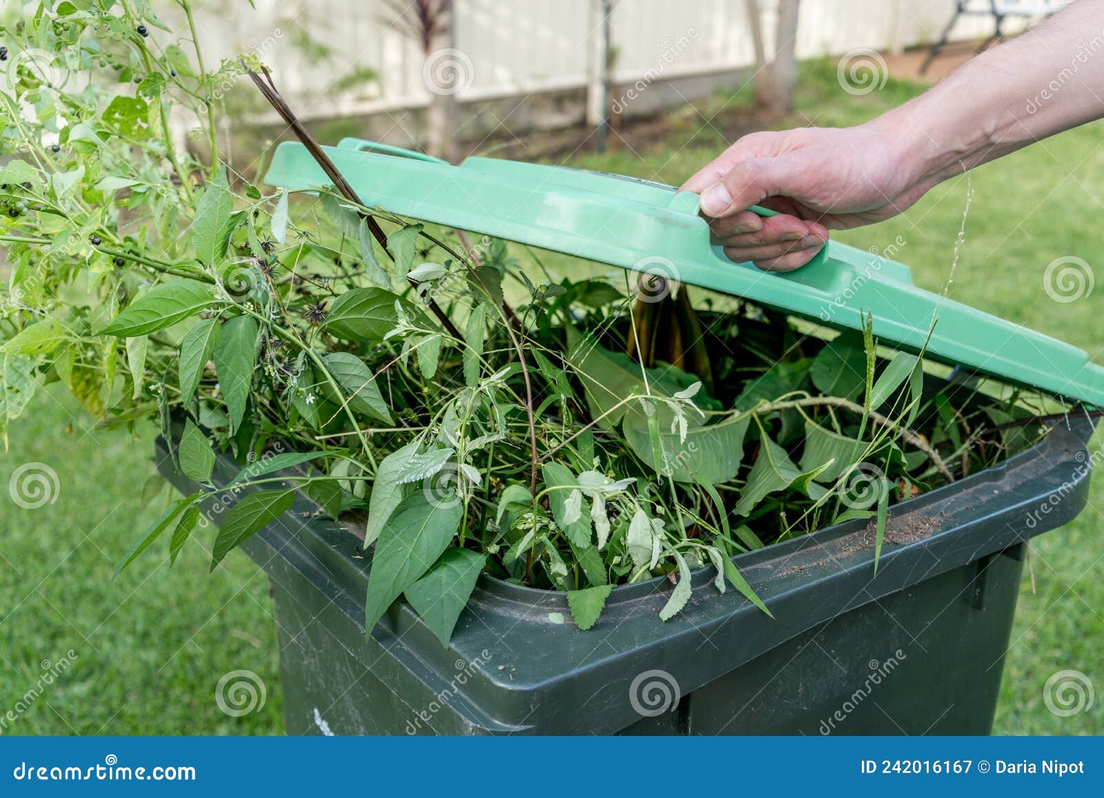 Green Bin Container Filled with Garden Waste. Recycling Garbage for a ...