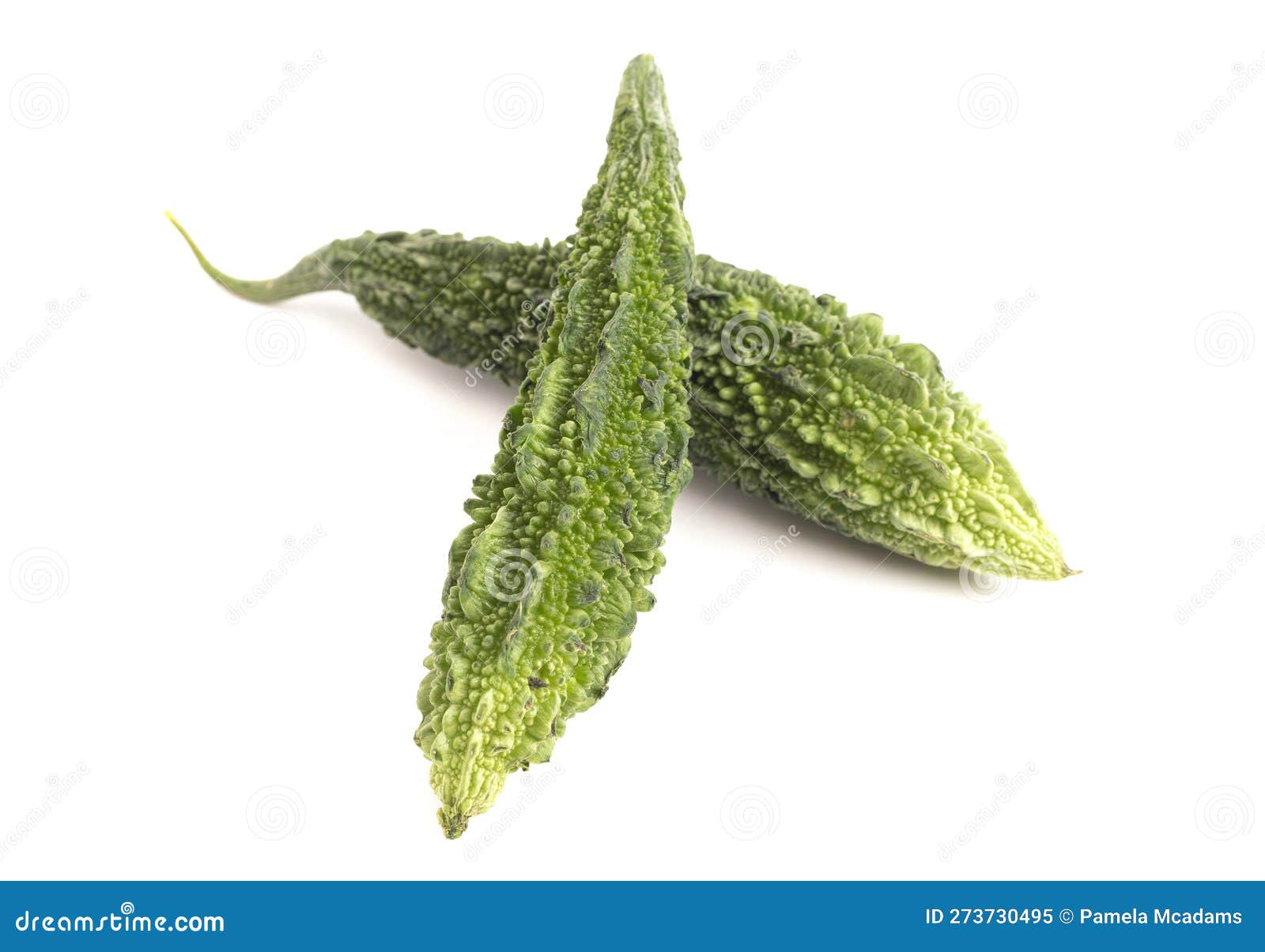 A Green Bitter Gourd Melon Isolated on a White Background Stock Image ...
