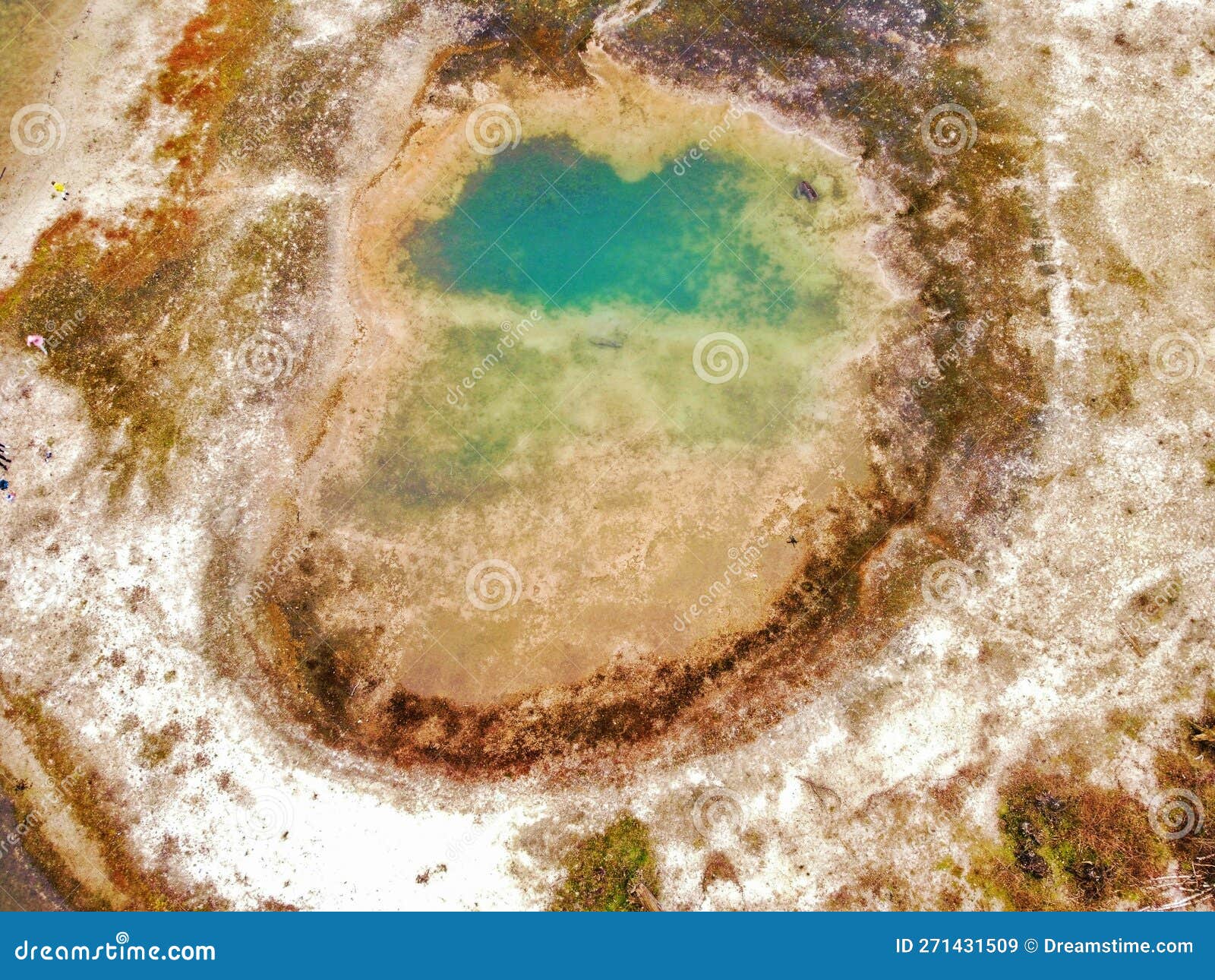 Green and Blue Algae Lagoon in Arcen, Netherland Stock Image - Image of ...