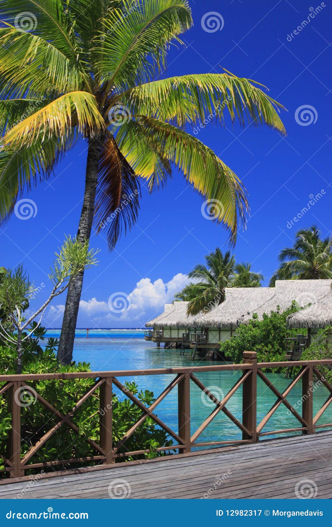 Green and Blue Contrasts of Polynesia Stock Image - Image of resort ...
