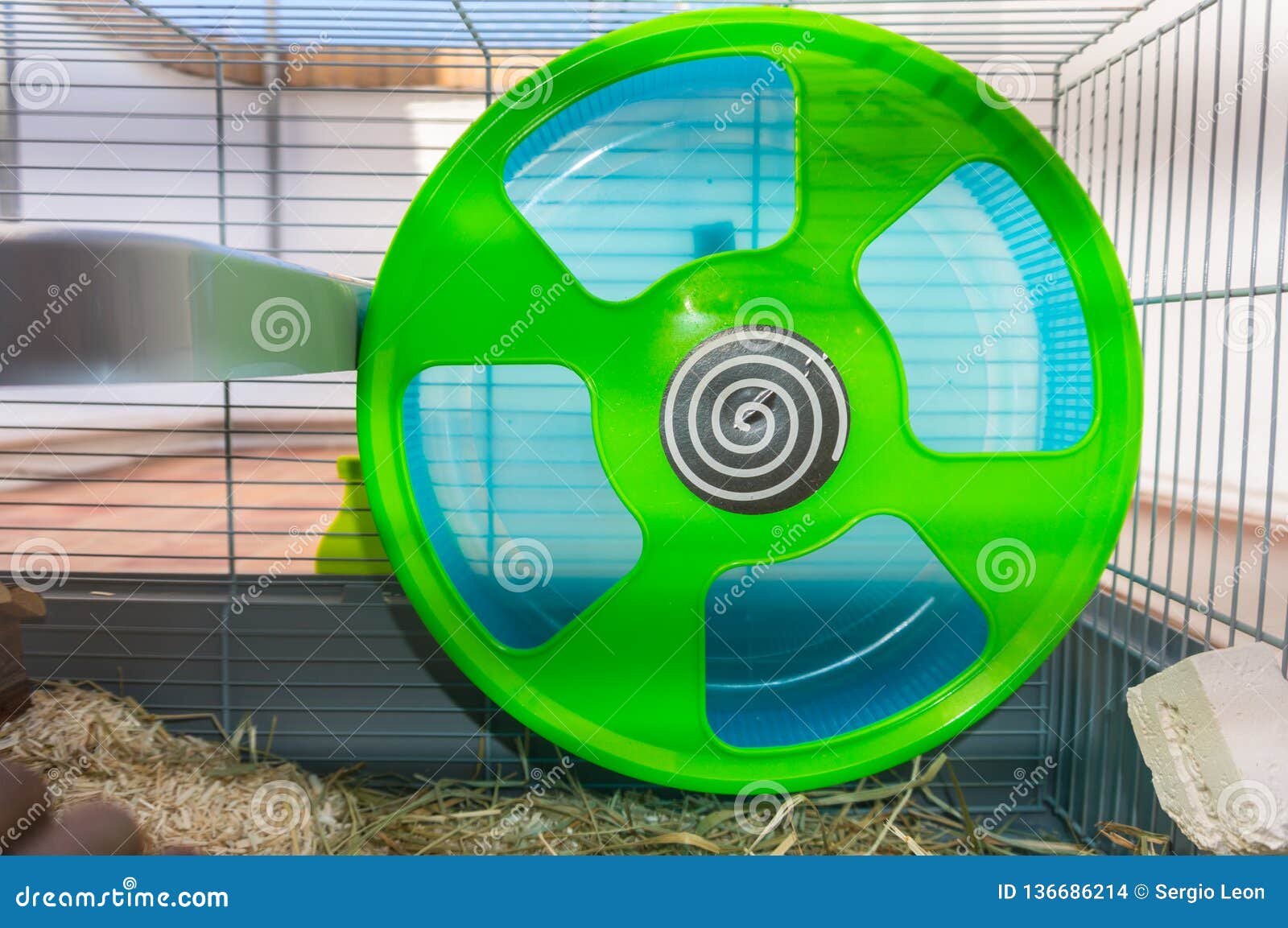 Blue Hamster Wheel Royalty-Free Stock Photography | CartoonDealer.com ...