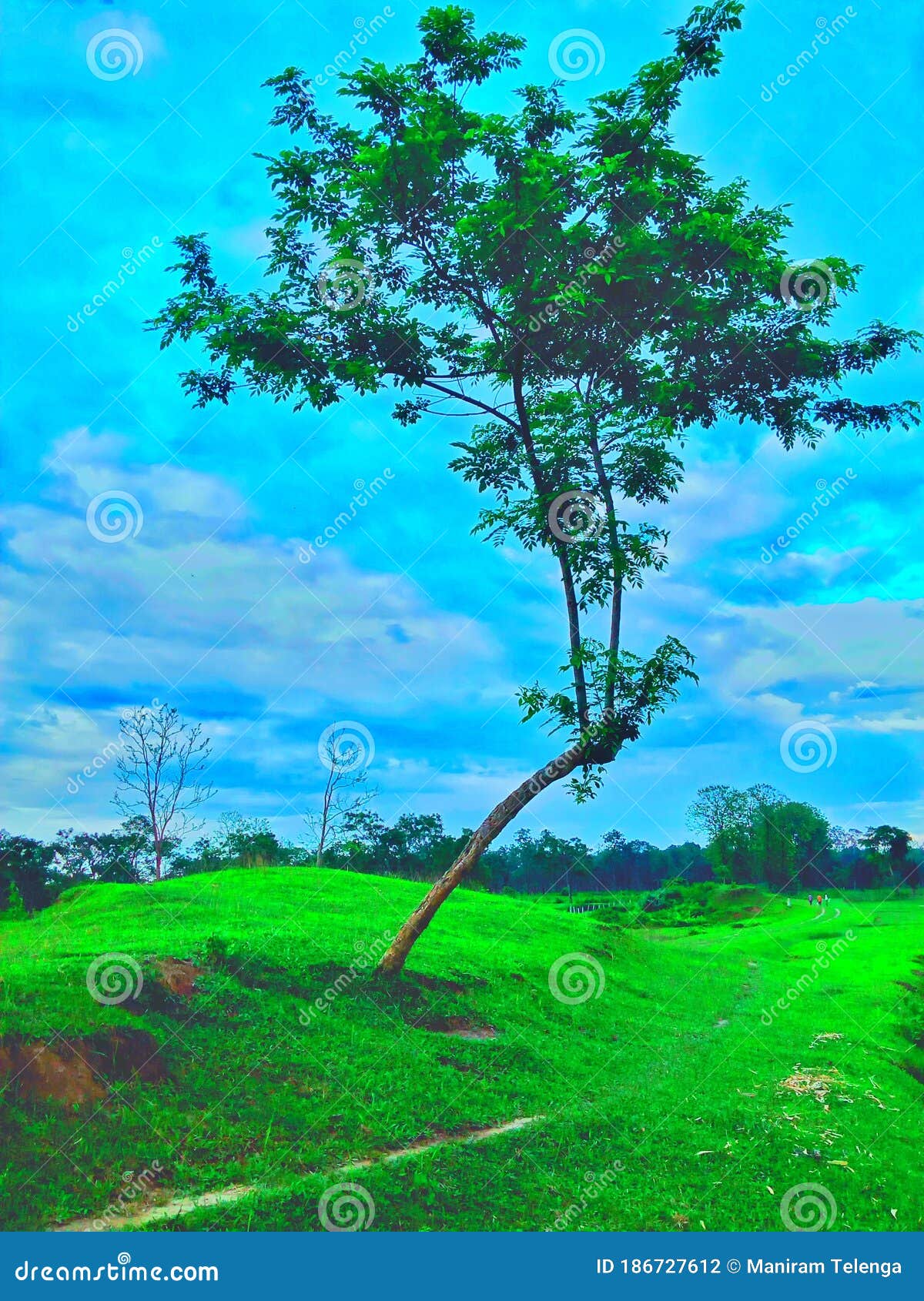 The green and blue senary stock photo. Image of prairie - 186727612