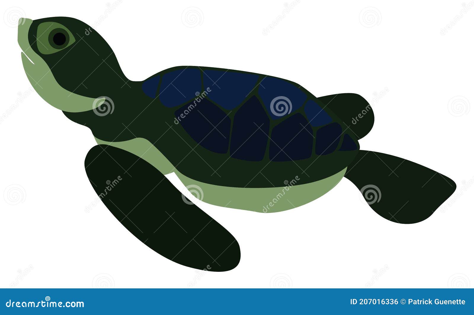 Green and Blue Turtle, Illustration, Vector Stock Vector - Illustration ...