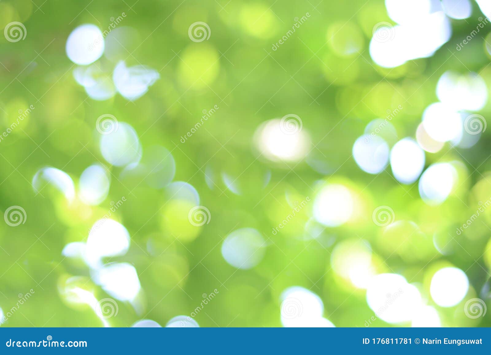 Green Blurred Bokeh Background. Abstract Green Bokeh Background Stock ... Green Blurred Bokeh Background. Abstract Green Bokeh Background Stock ...