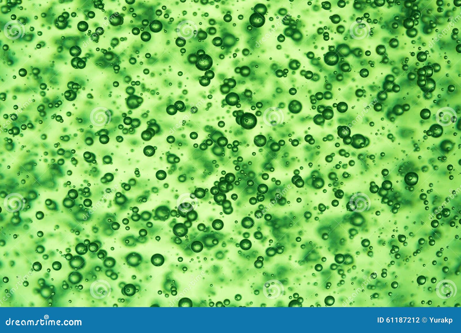 Green Bobbles Water Background Stock Photo - Image of scene, water ...