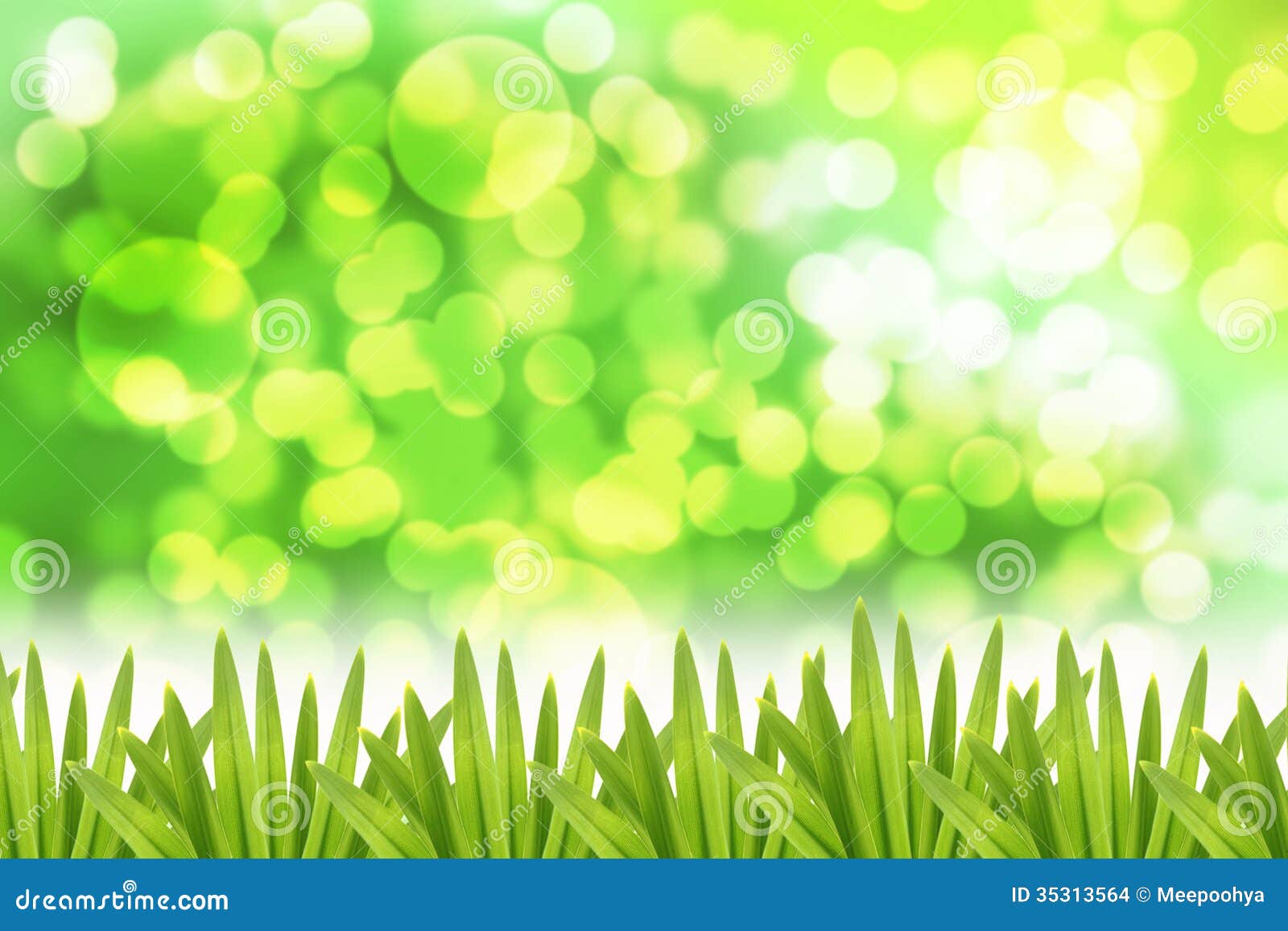 Green Bokeh Background and Leaf on Side. Stock Illustration ...