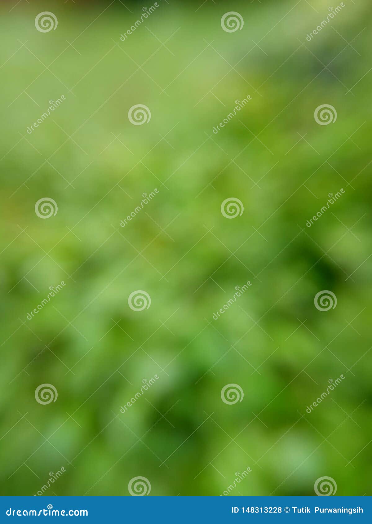 8,084 Simple Green Template Photos - Free & Royalty-Free Stock Photos ...