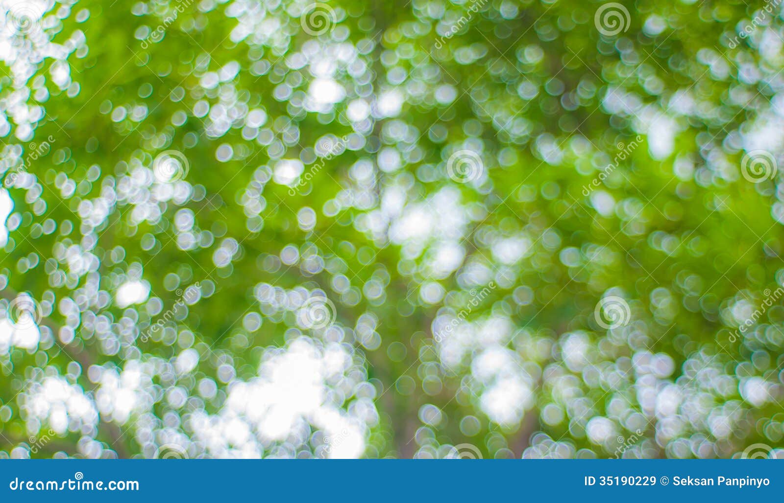 Green bokeh stock image. Image of design, focus, flora - 35190229