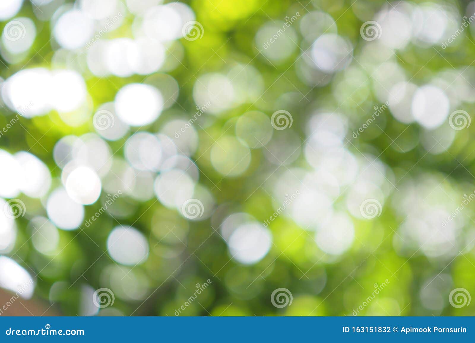 Green Bokeh of Tree Leaves Nature Out of Focus Background Stock Photo ...