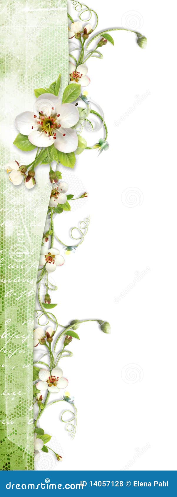 Apple Green Border Design