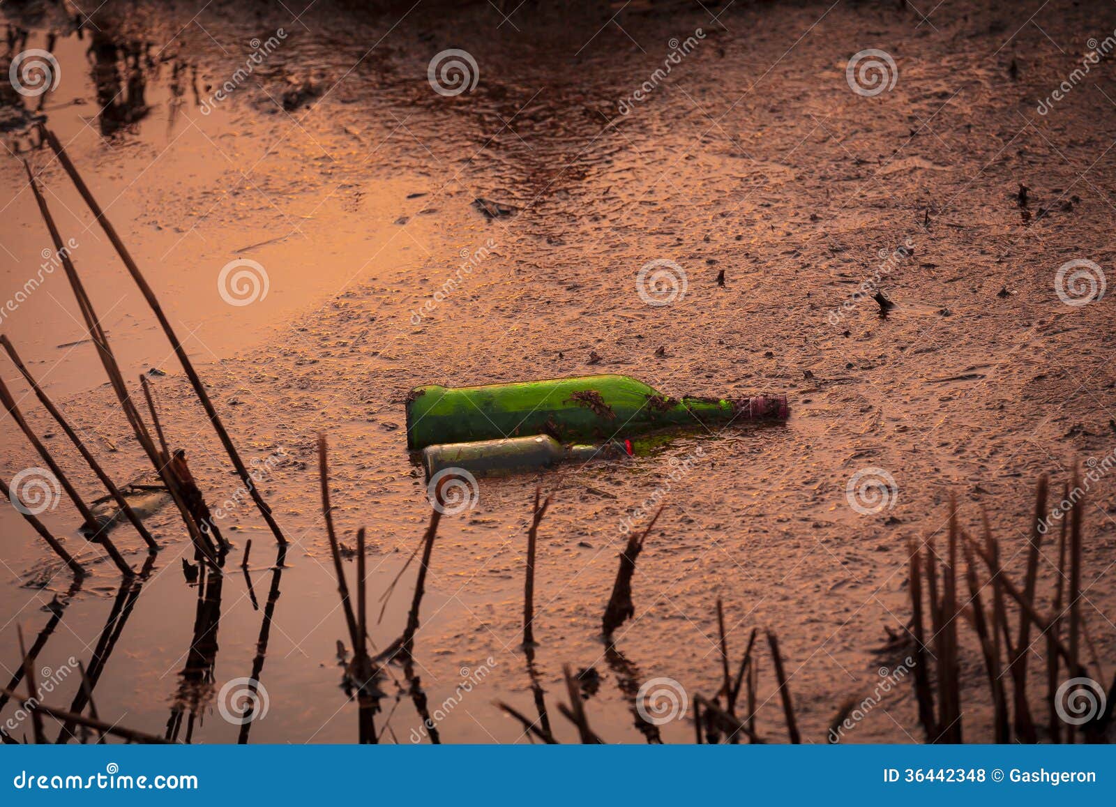 Green Bottle Lying in the Pond. Stock Photo - Image of urban, floating ...