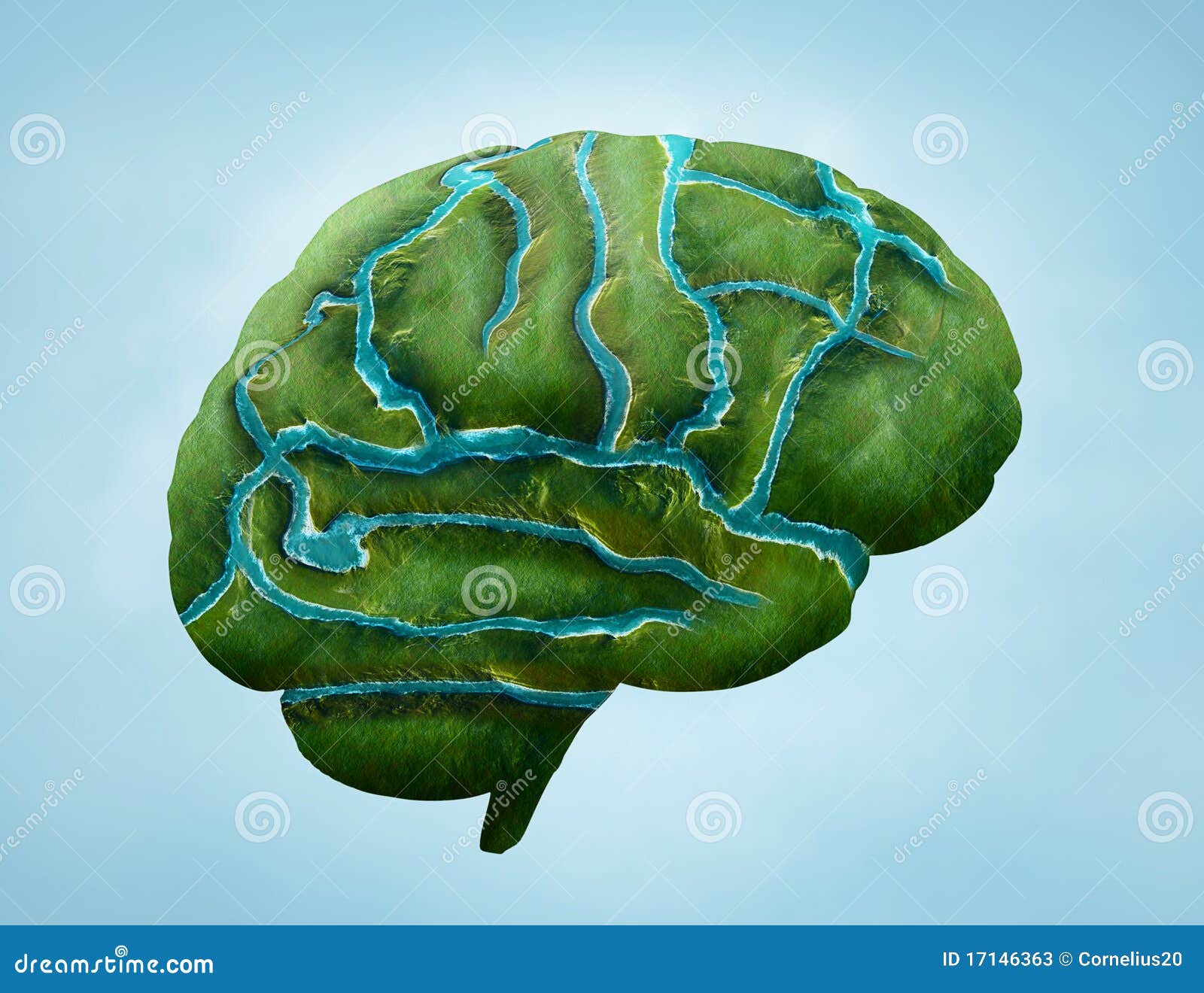 Green brain stock illustration. Illustration of graphics - 17146363