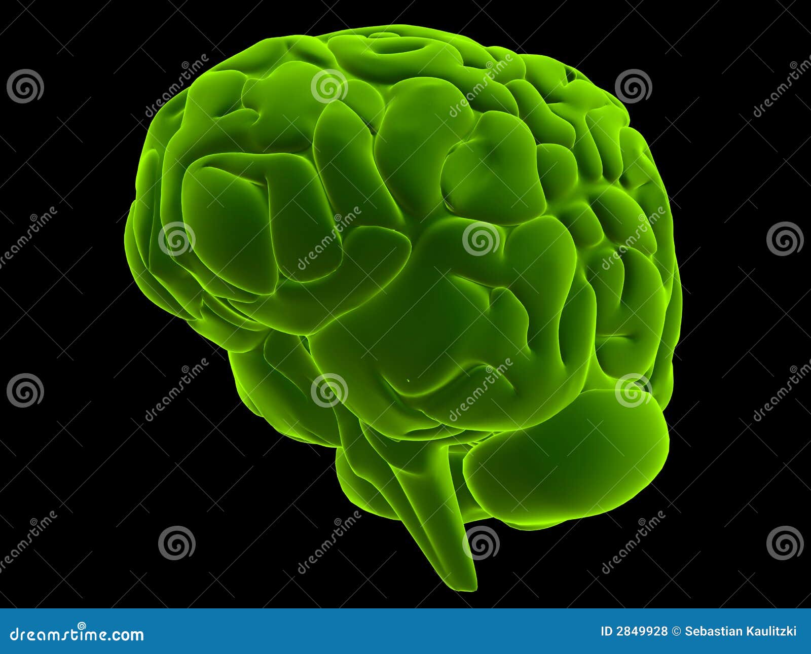 Green brain stock illustration. Illustration of intellect - 2849928