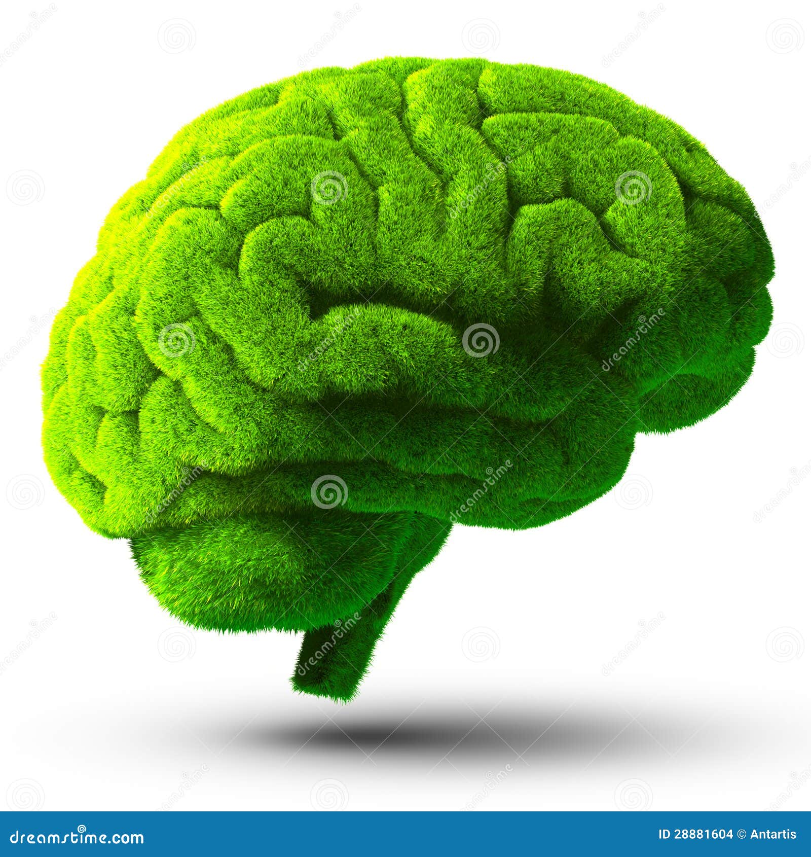 Green brain stock illustration. Illustration of abstract - 28881604
