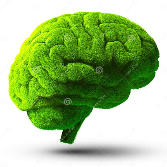 Green brain stock illustration. Illustration of abstract - 28881604