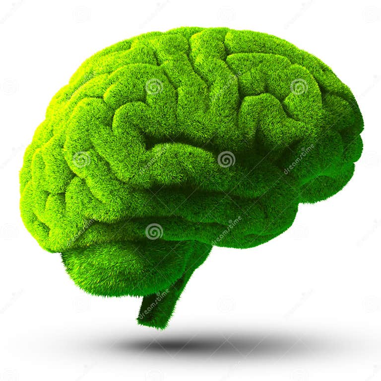 Green brain stock illustration. Illustration of abstract - 28881604