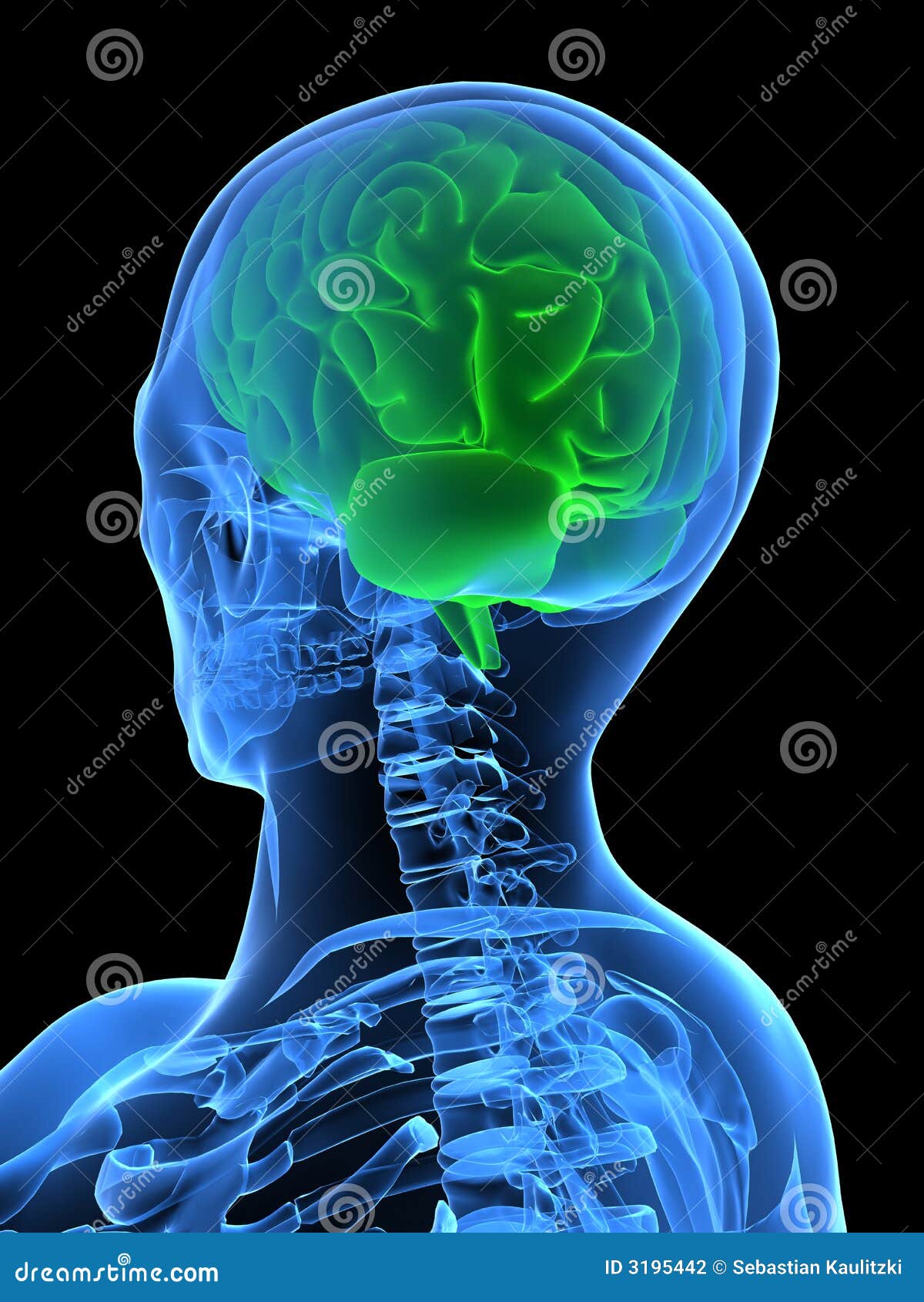 Green brain stock illustration. Illustration of metal - 3195442