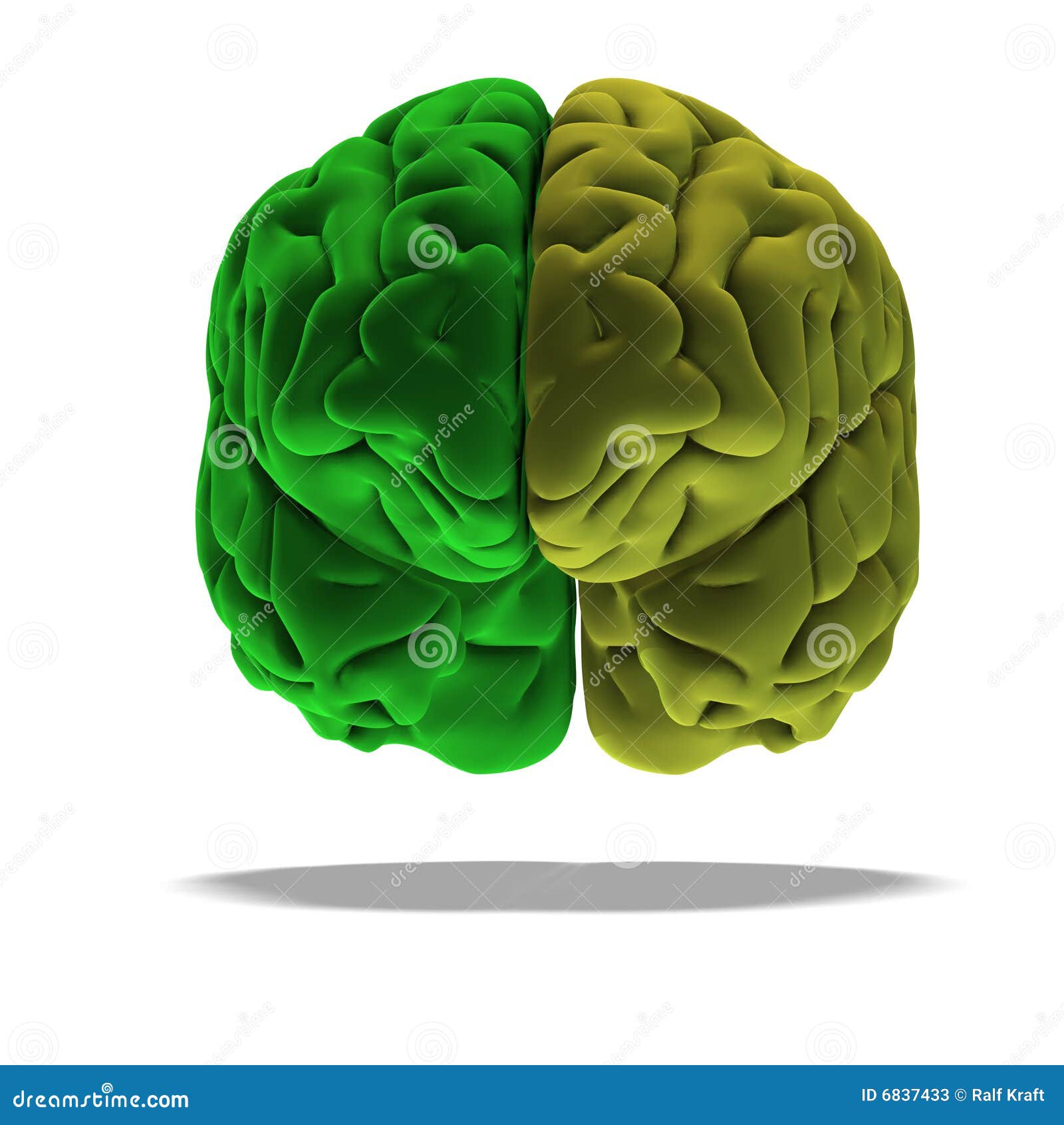 Green brain stock illustration. Illustration of mental - 6837433