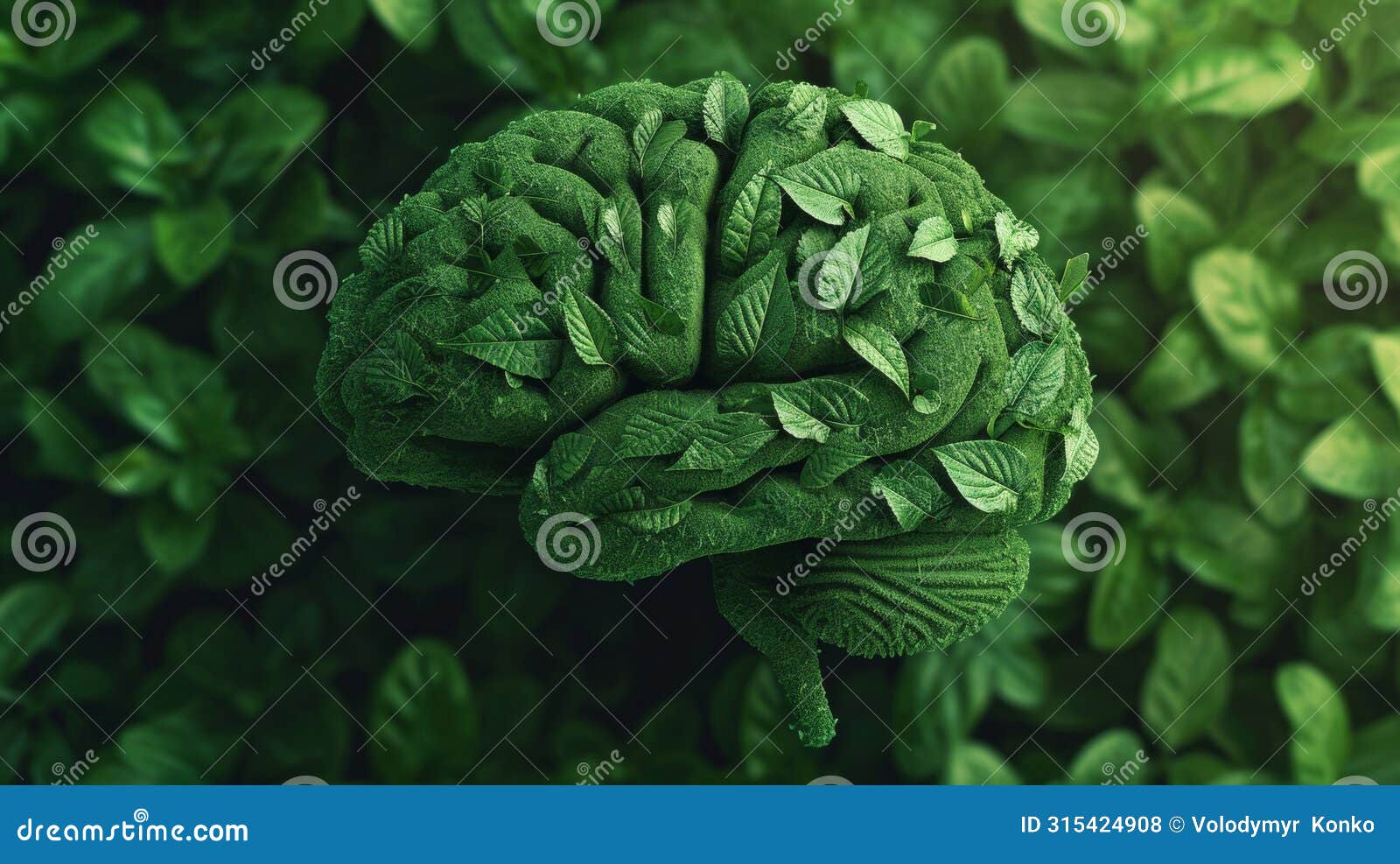 Green Brain Made of Leaves on a Green Background Stock Photo - Image of ...