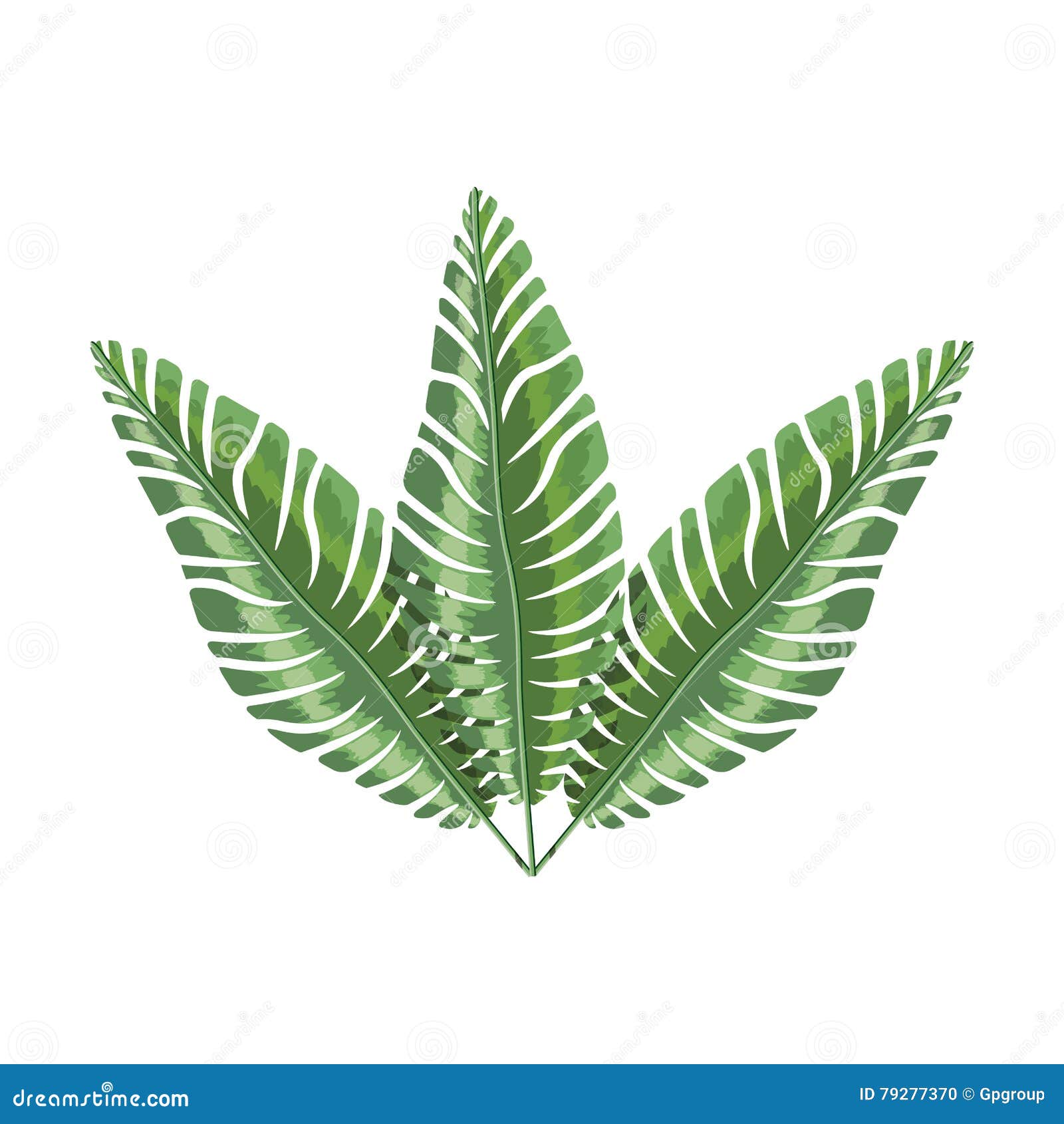Green Branch with Multiple Leaves Stock Vector - Illustration of forest ...