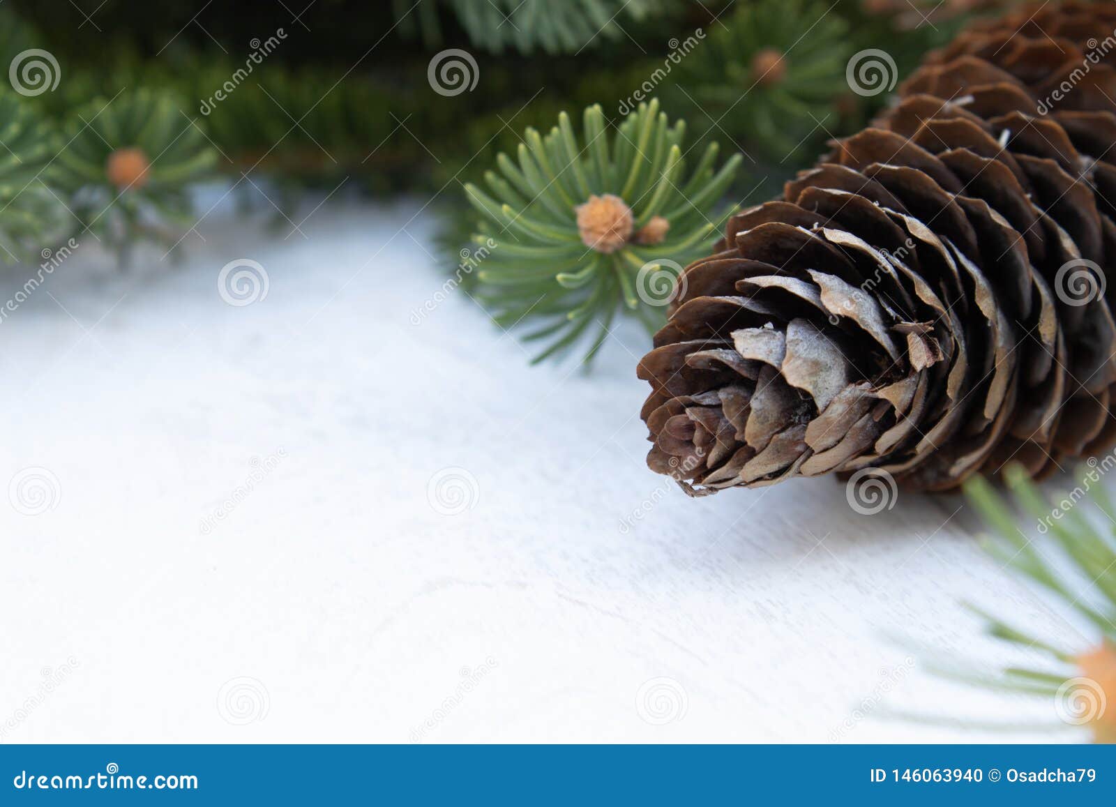 Green Branches of a Christmas Tree and Cones on a White Board ...