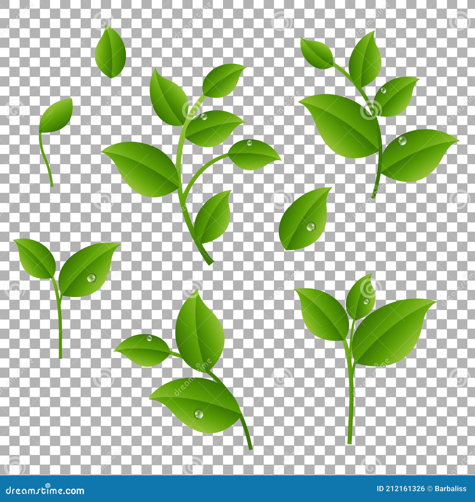Green Branches with Leaves Transparent Background Stock Vector ...