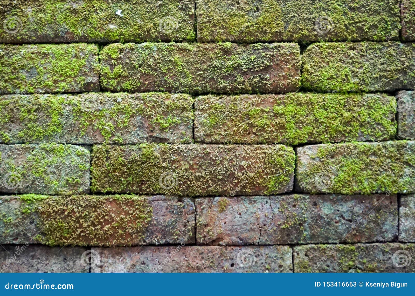 Green Brick Texture. Brick with Grass Stock Image - Image of historical ...