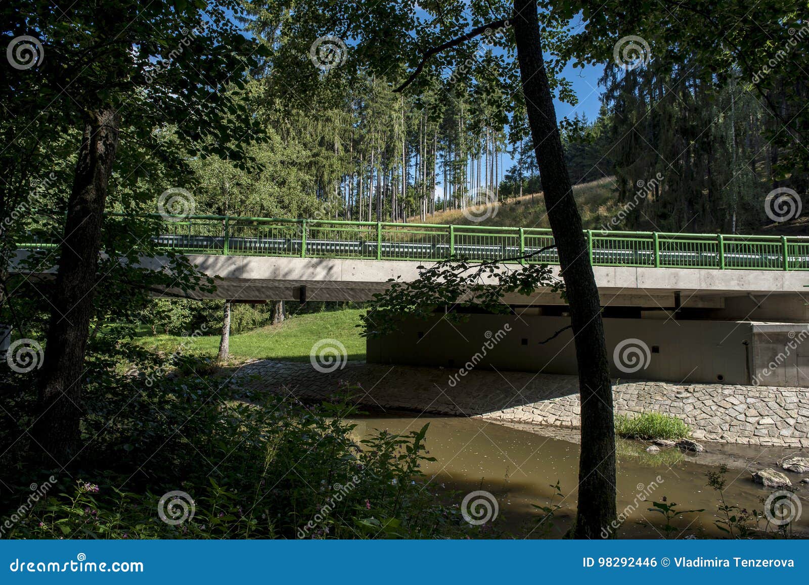 Green Bridge Across the River in the Forest Stock Photo - Image of ...
