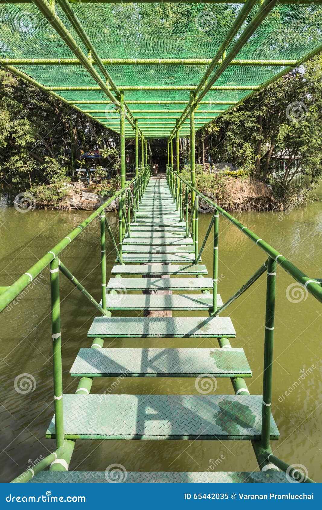 Green Bridge Cross the Water Stock Image - Image of rope, tourism: 65442035