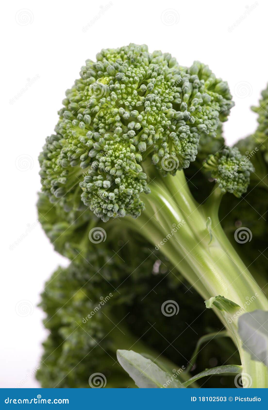 Green broccoli stock image. Image of healthy, cauliflower - 18102503