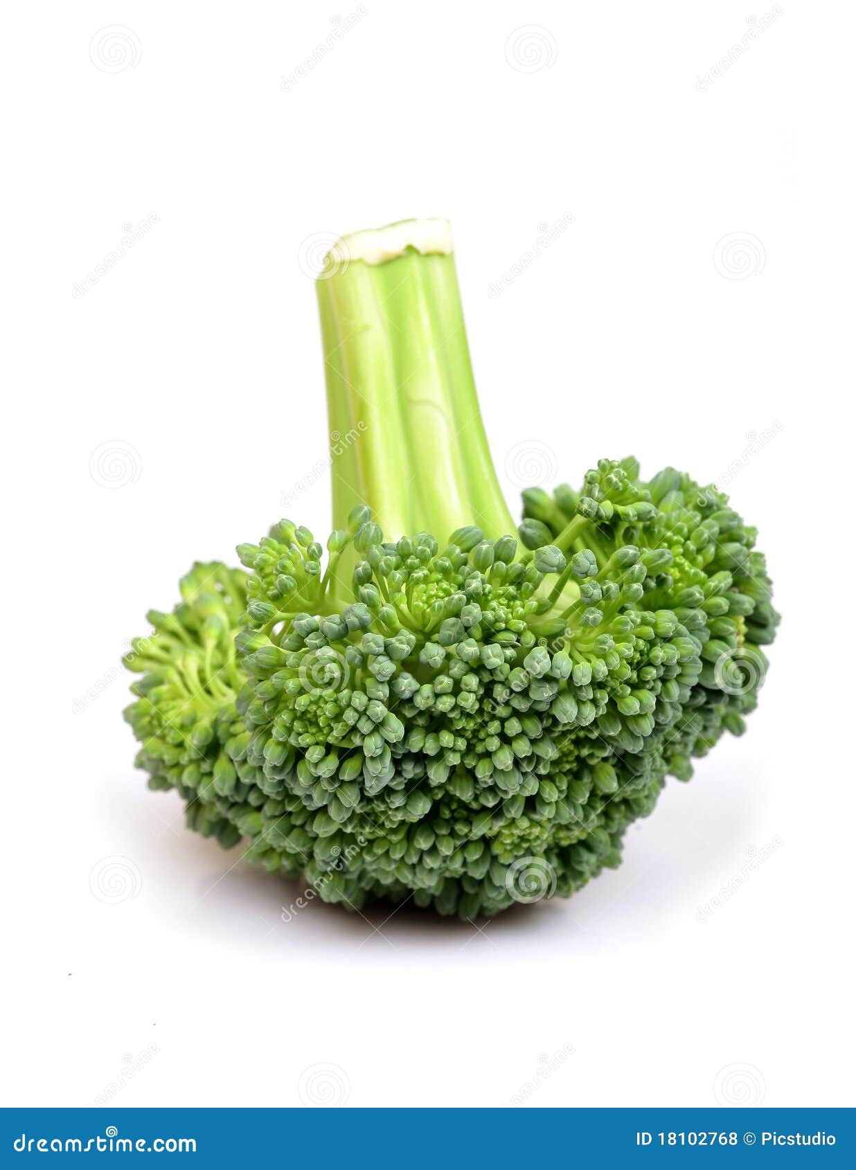 Green broccoli stock photo. Image of vitamins, broccoli - 18102768