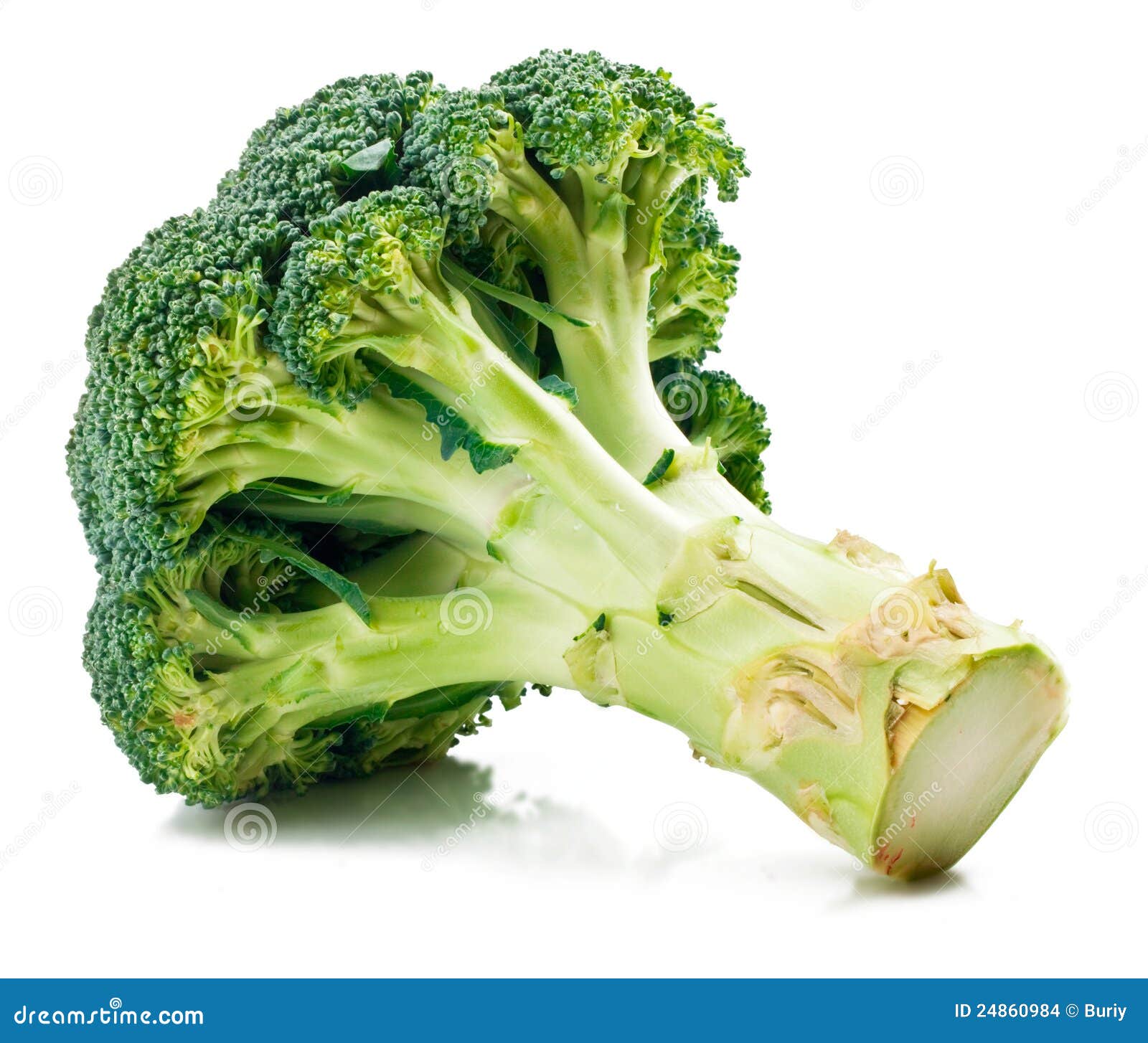 Green broccoli stock photo. Image of produce, cabbage - 24860984