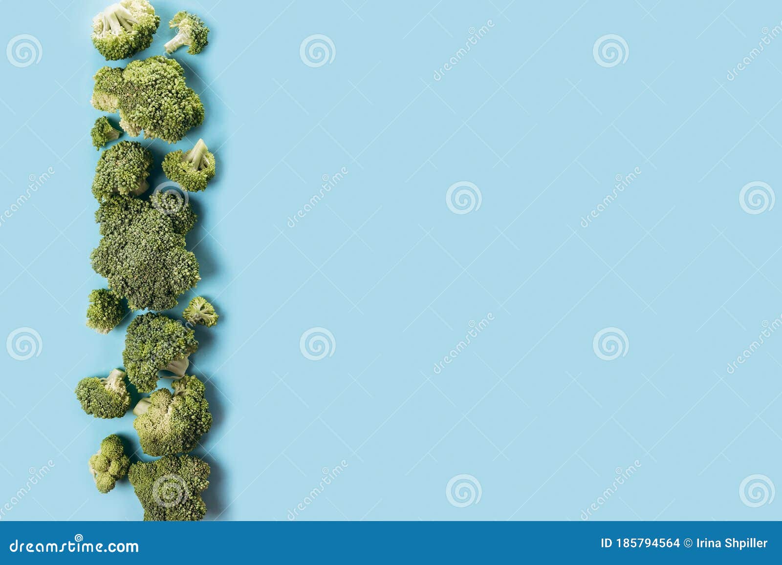 Green Broccoli Frame or Border on Blue Background with Copy Space Stock ...