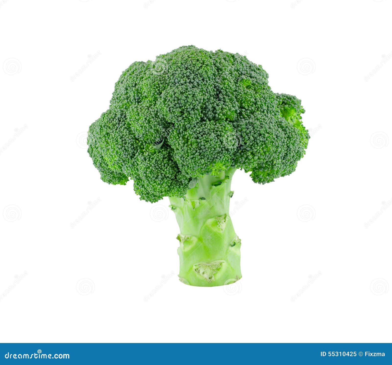 Green Broccoli Isolate on White Stock Image - Image of isolate, path ...