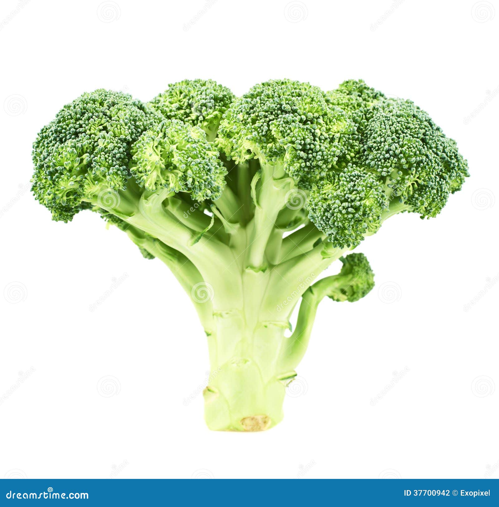 Green broccoli isolated stock photo. Image of eating - 37700942