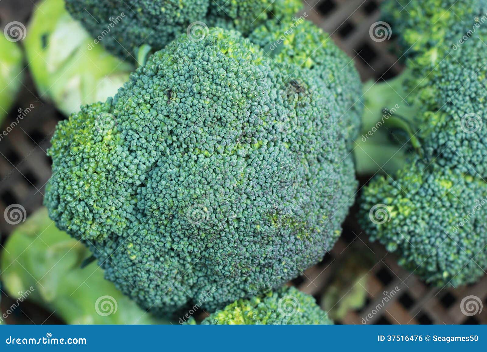 Green Broccoli in the Market Stock Photo - Image of color, nutrient ...