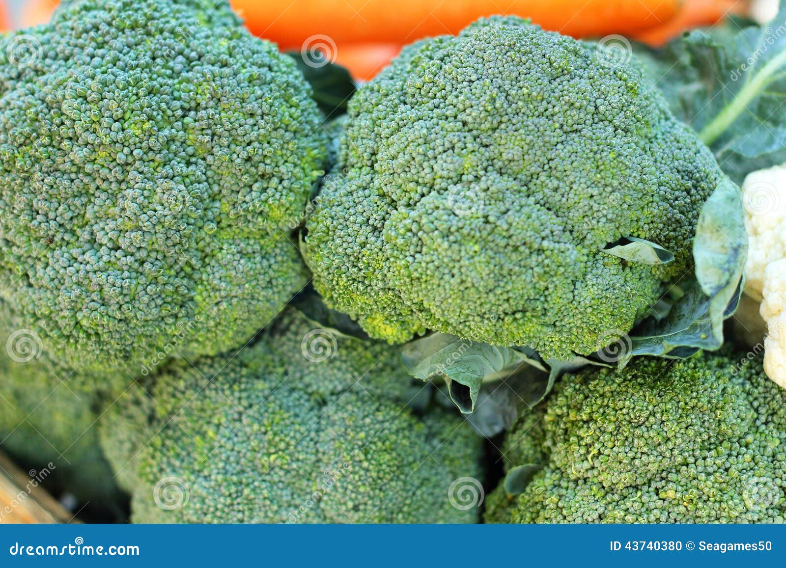 Green Broccoli in the Market Stock Photo - Image of leaf, nutrient ...