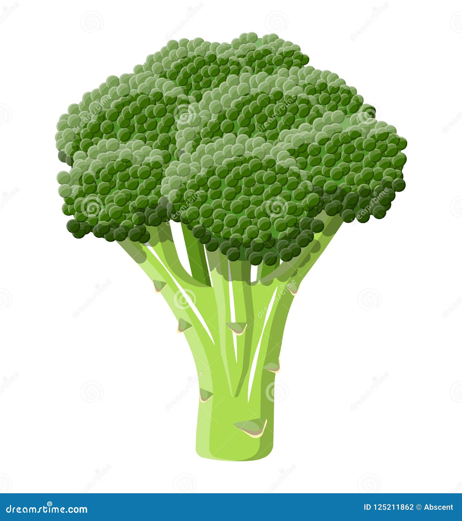 Broccoli Vegetable King And Queen Character Illustration Cartoon Vector ...