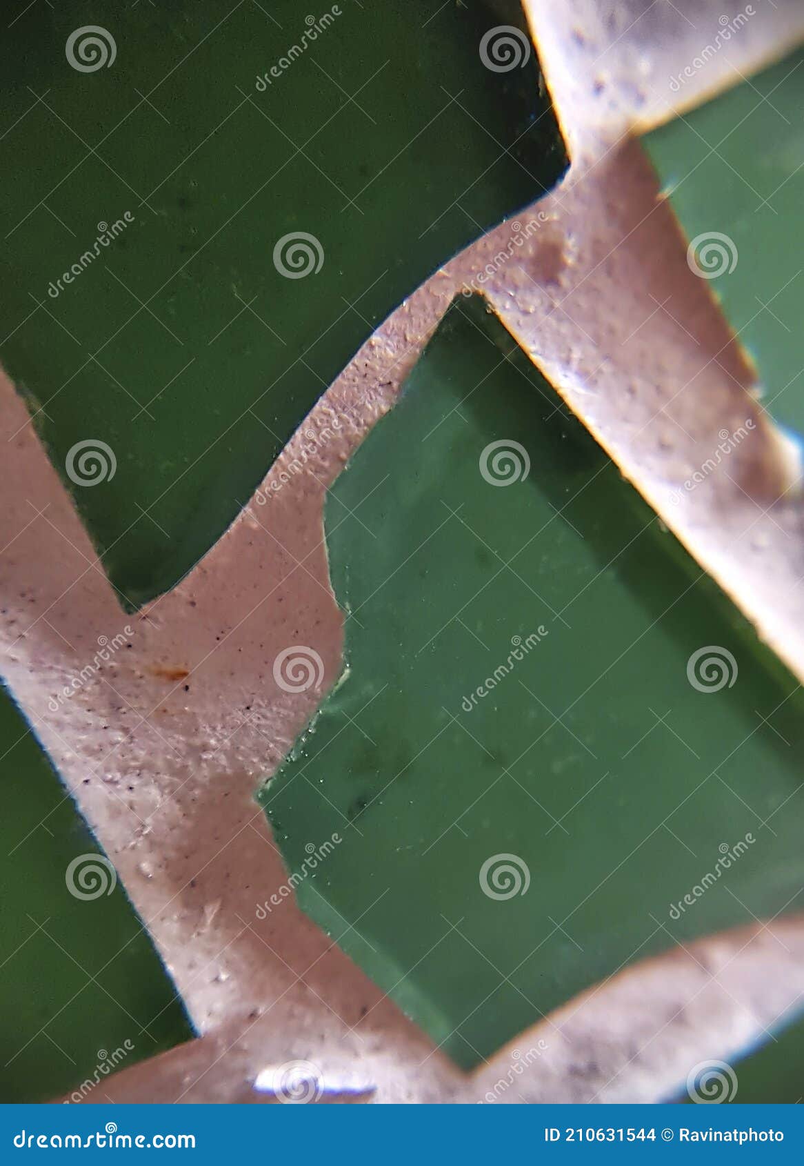 Green Broken Leaves Done with Plastic and Stuck To Another Seen Very ...