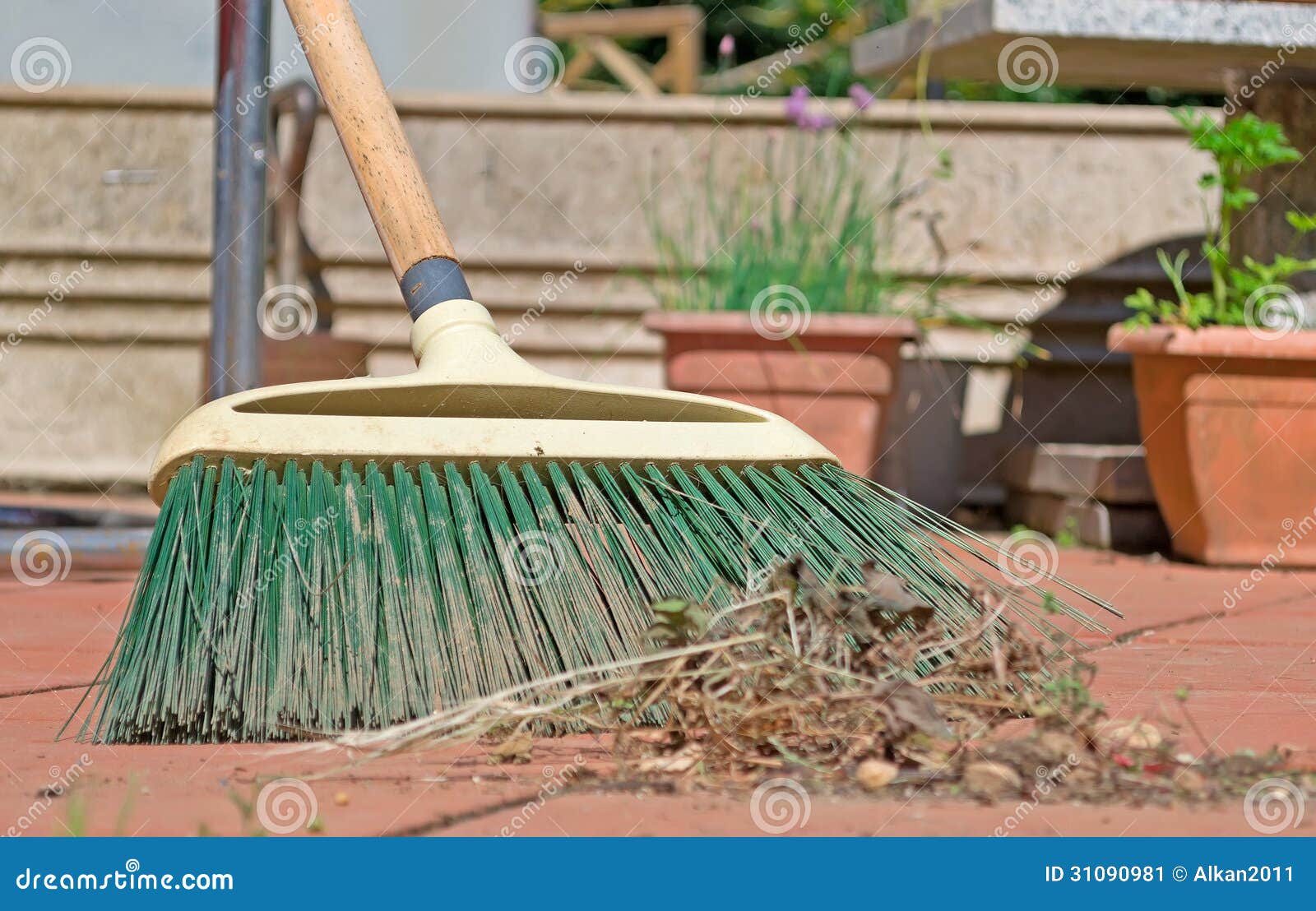 Green broom stock image. Image of bunch, sweeping, meadow - 31090981