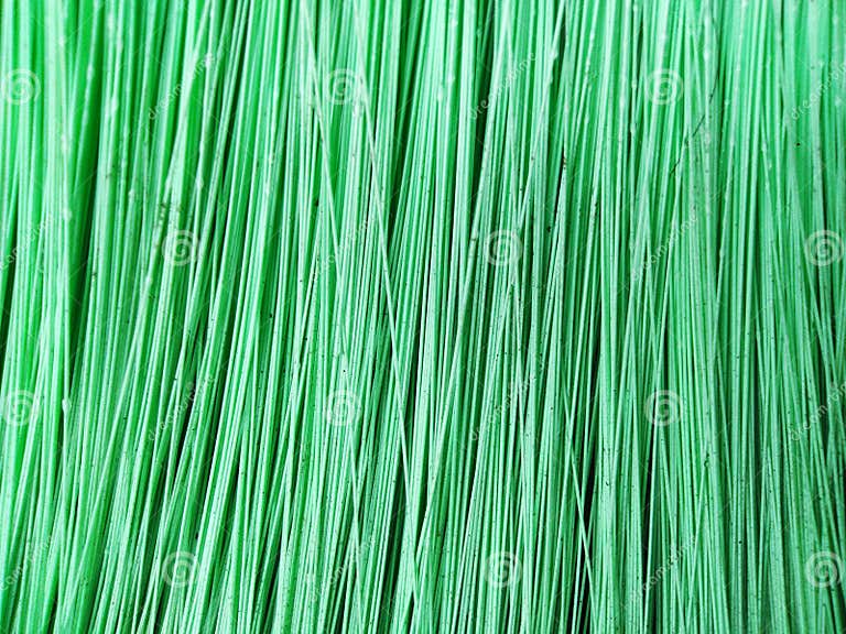 Green Broom with Small Sand Stock Photo - Image of agriculture, plant ...