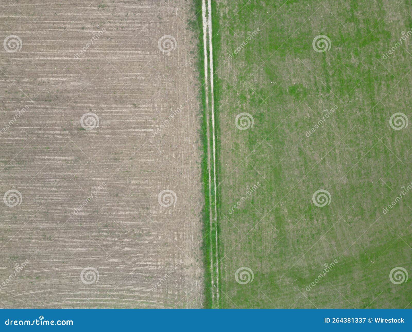 Abstract Symmetrical Pattern Of Indonesian Batik, Floral Motif, Batik ...